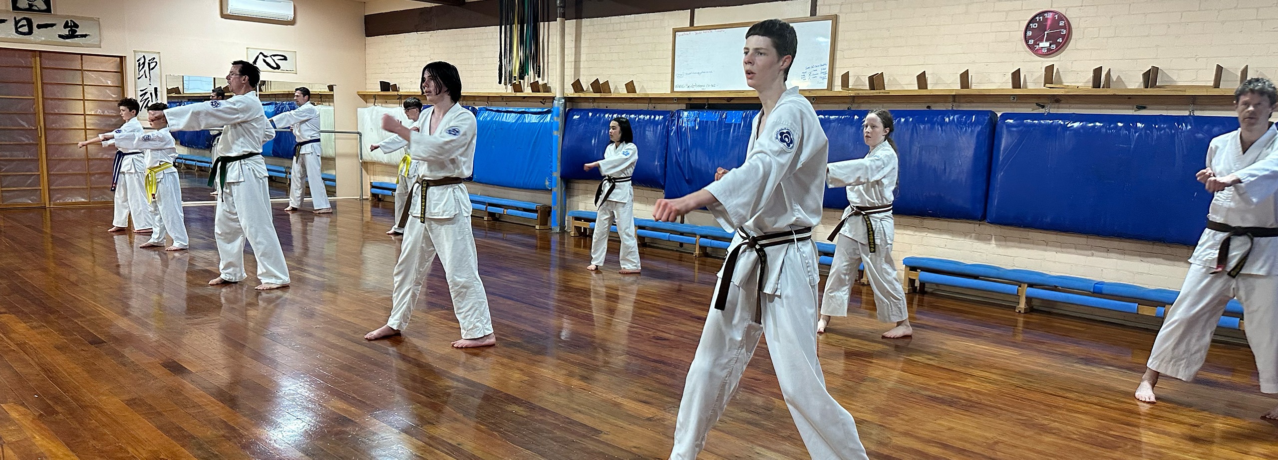 Read about Seido Karate Timaru and our history
