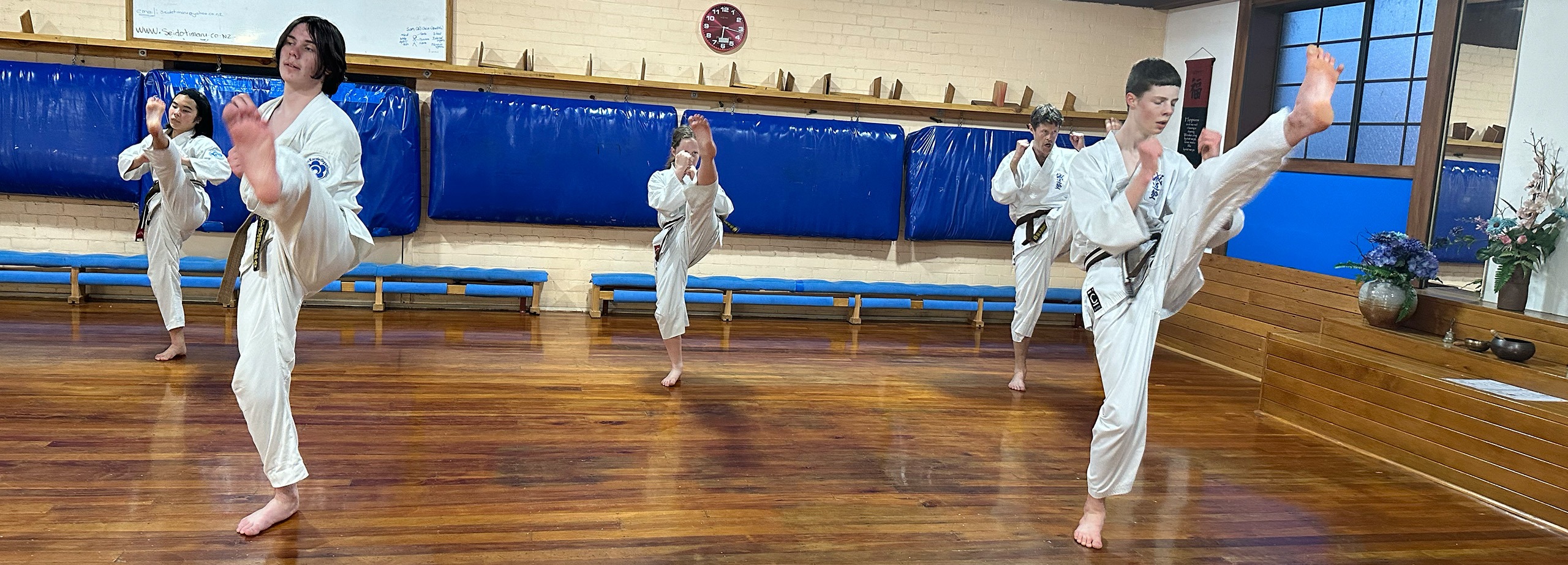 Kyu Grades | Seido Karate Timaru